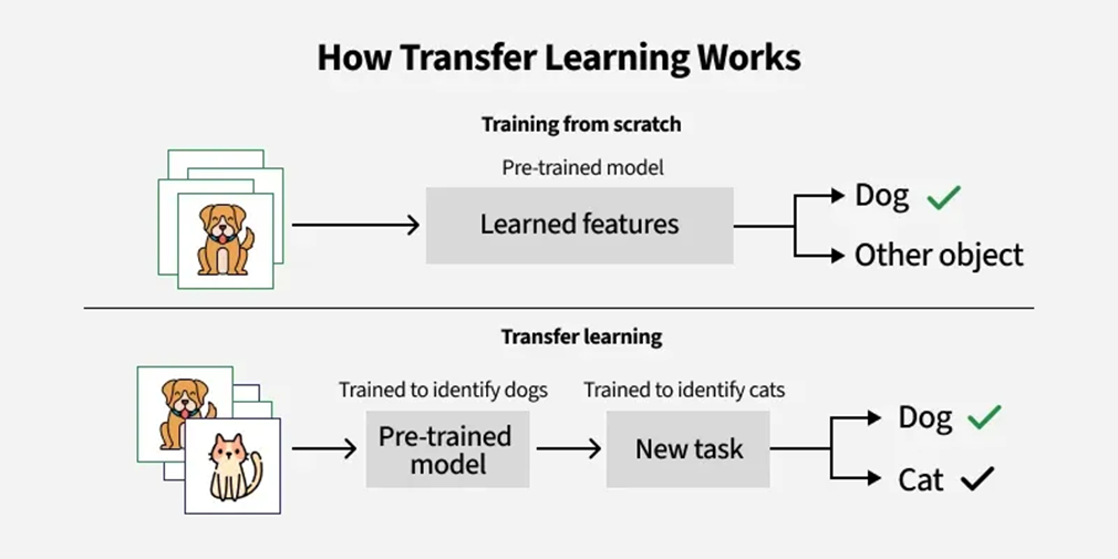 A Gentle Introduction to Transfer Learning with BERT and ResNet-50 | by ...