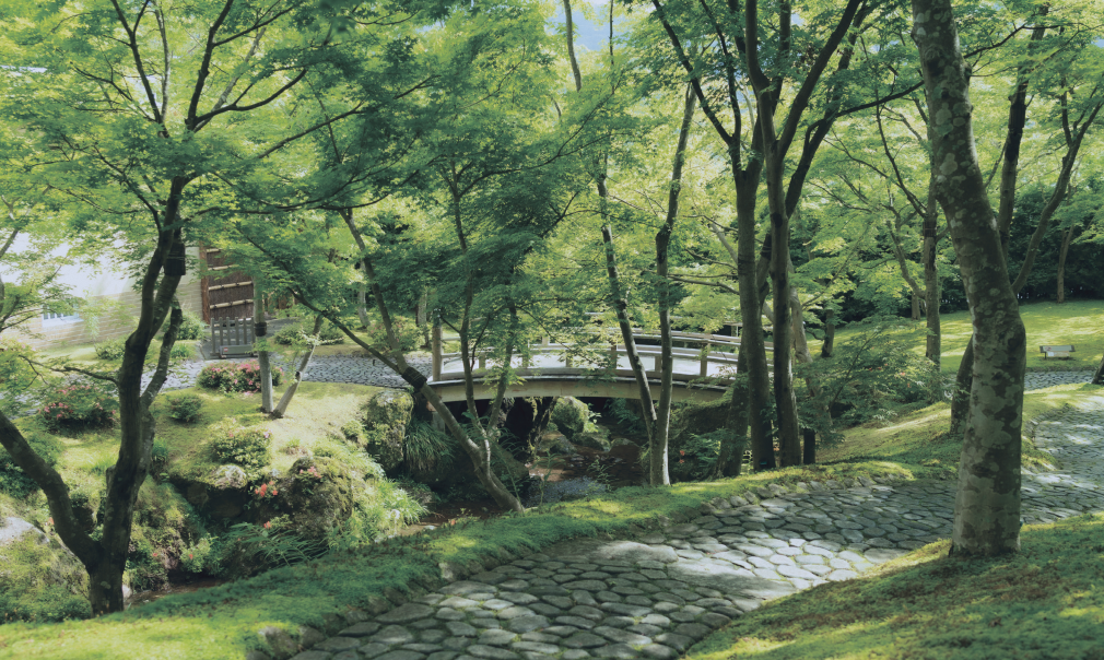 Wabi-Sabi in the Age of Perfect Algorithms | by Taishi Okano | Feb ...