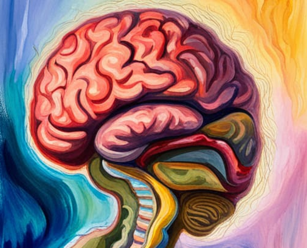 Which Self-Eating Brain Type Are You? | by Jane Elliott PhD | Better Humans