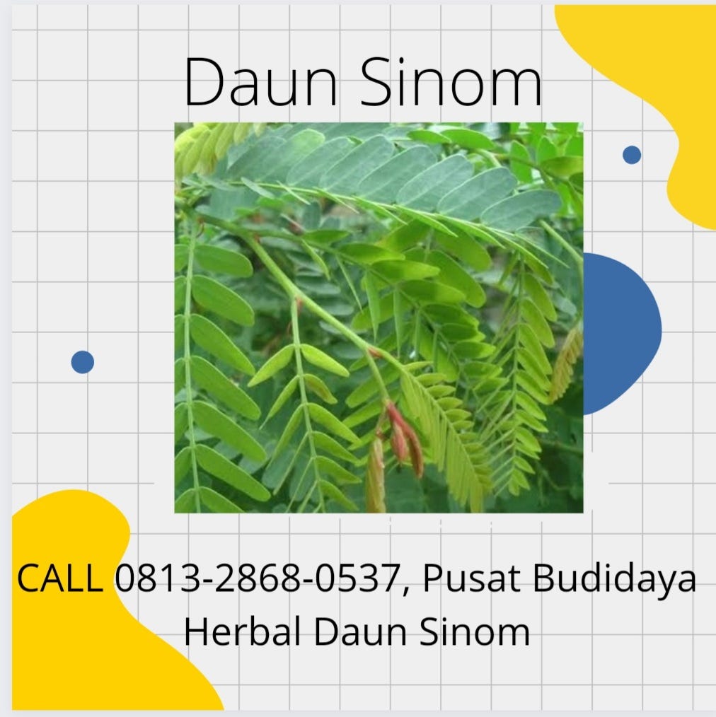 Daun 1 | by Produsen Rak bunga cikarang barat | Medium