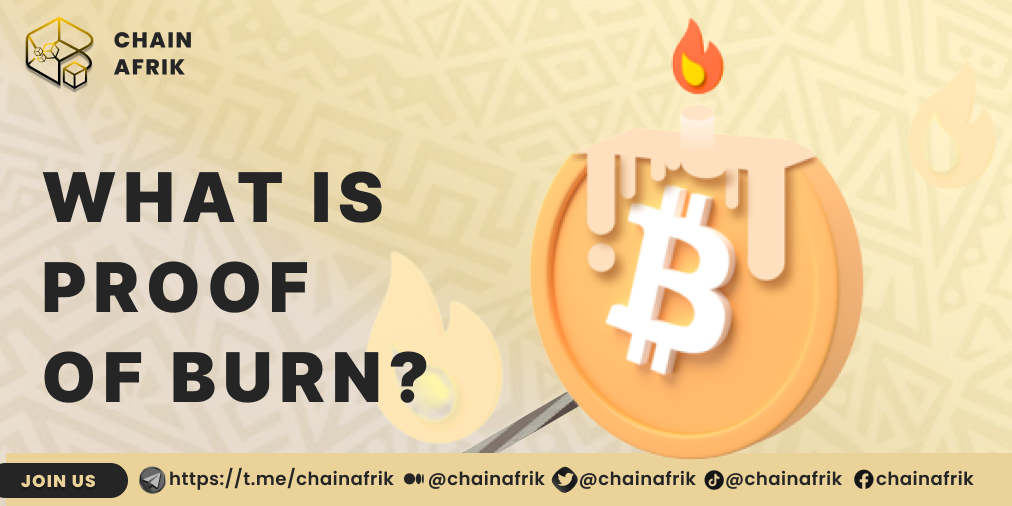 What Is Proof of Burn ?. While most blockchain systems either… | by ...