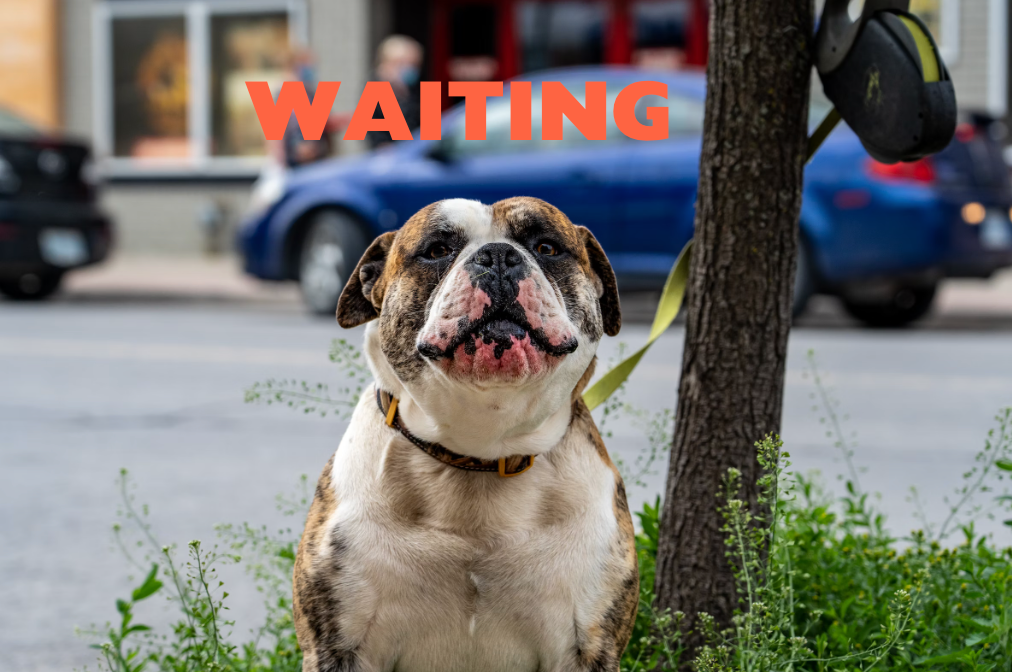Waiting. #hundo 100 Word Prompt — Elderly | by Rowena (Ro) Sage | Crush ...