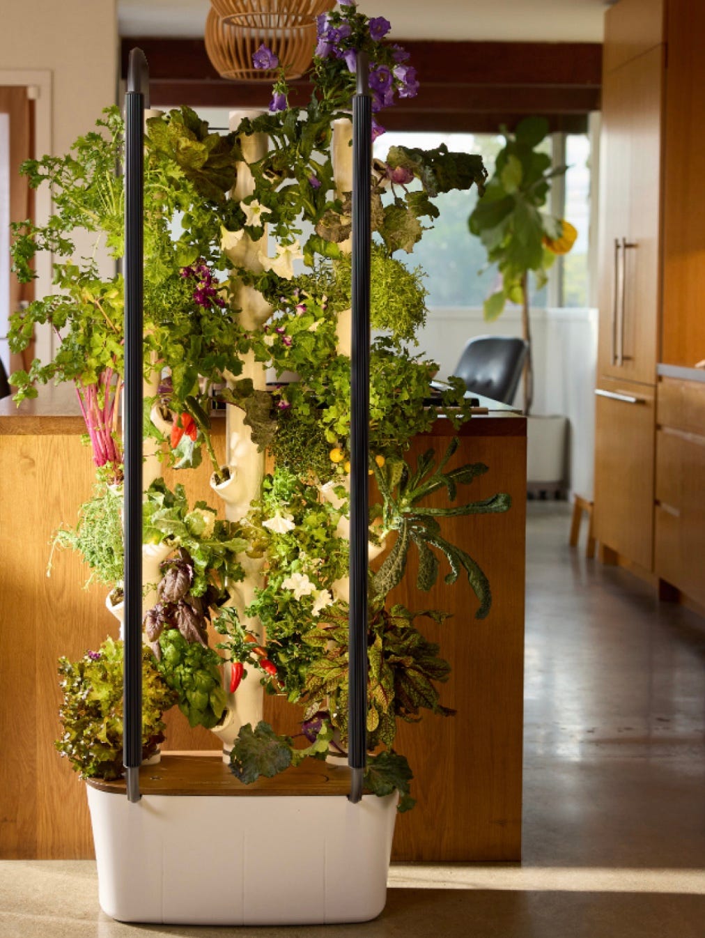 Exploring the Latest Generation of Gardyn Home 4.0: A Tech-Driven ...