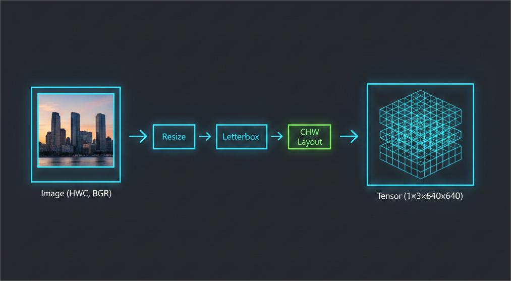 From Pixels to Tensors: YOLO Preprocessing Explained for ONNX Runtime ...