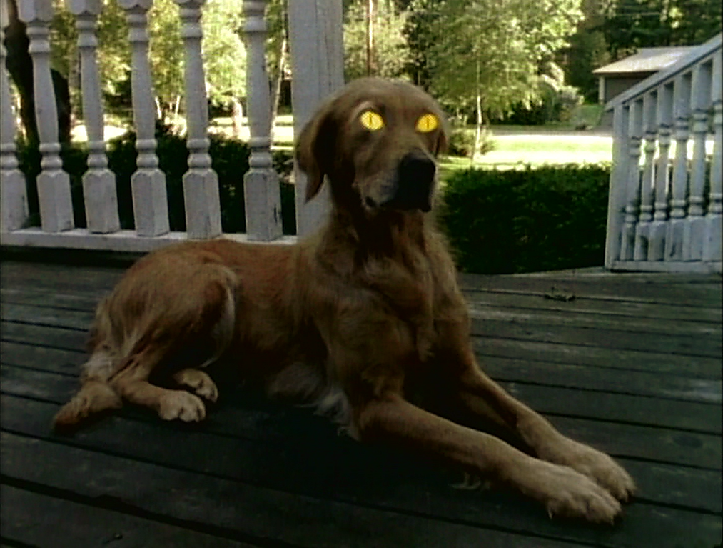 The Definitive Ranking of Every Goosebumps Episode (That I’ve Seen ...
