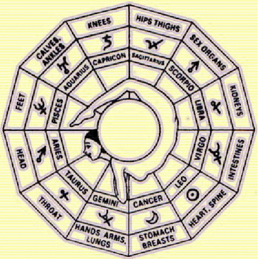 Zodiac signs and ruling body parts 60 photos - Youhoroscope.com