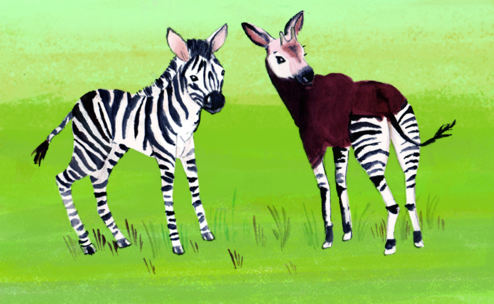 Okapi And Giraffe Similarities