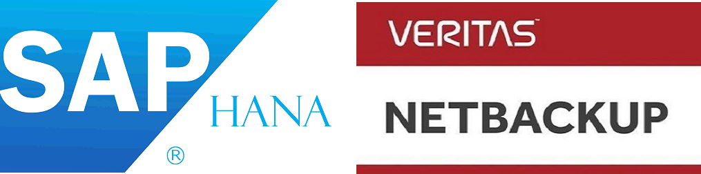 Veritas NetBackup 8.x SAP HANA backup agent kurulumu | by Selçuk Fidan ...