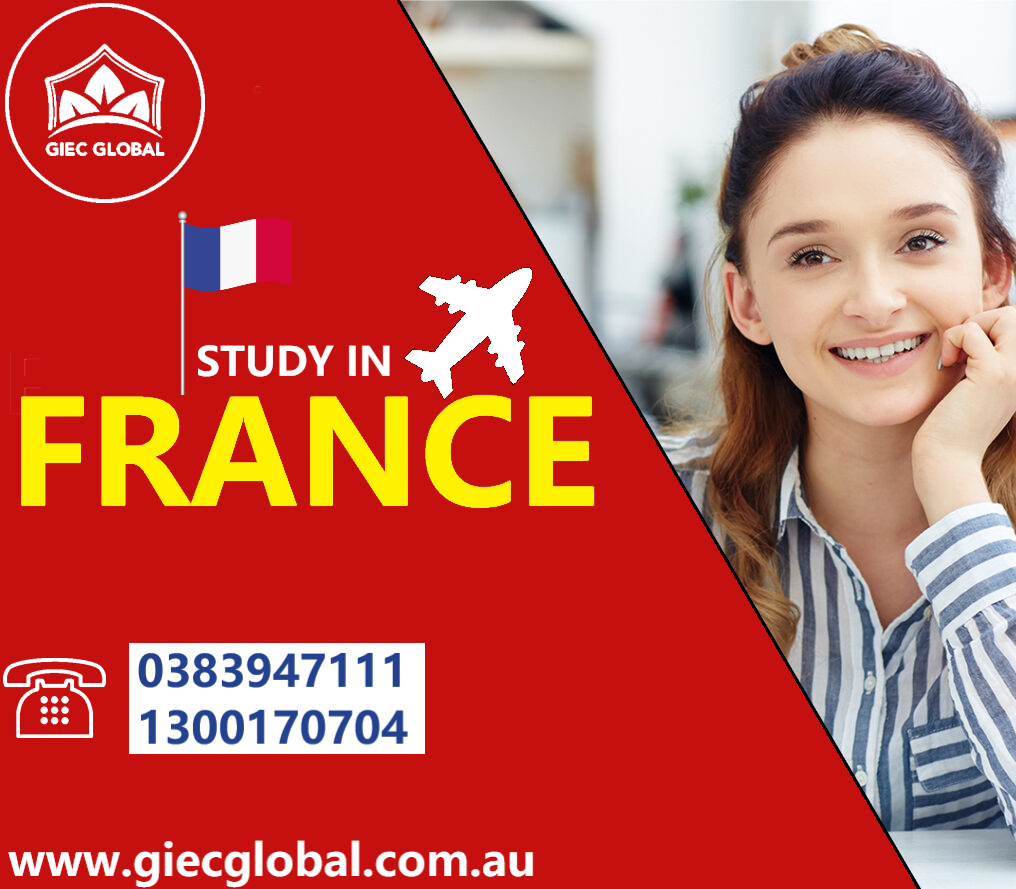 Study In France consultants - Globalgiecau - Medium