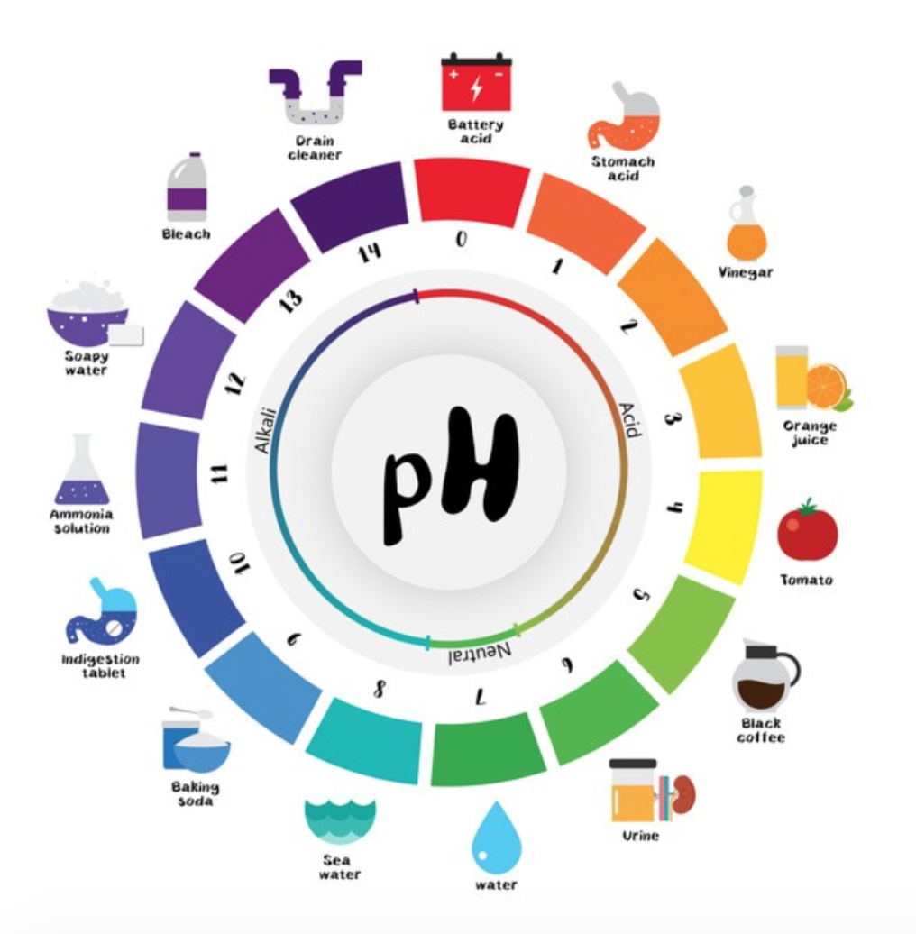 Battery Acid Ph