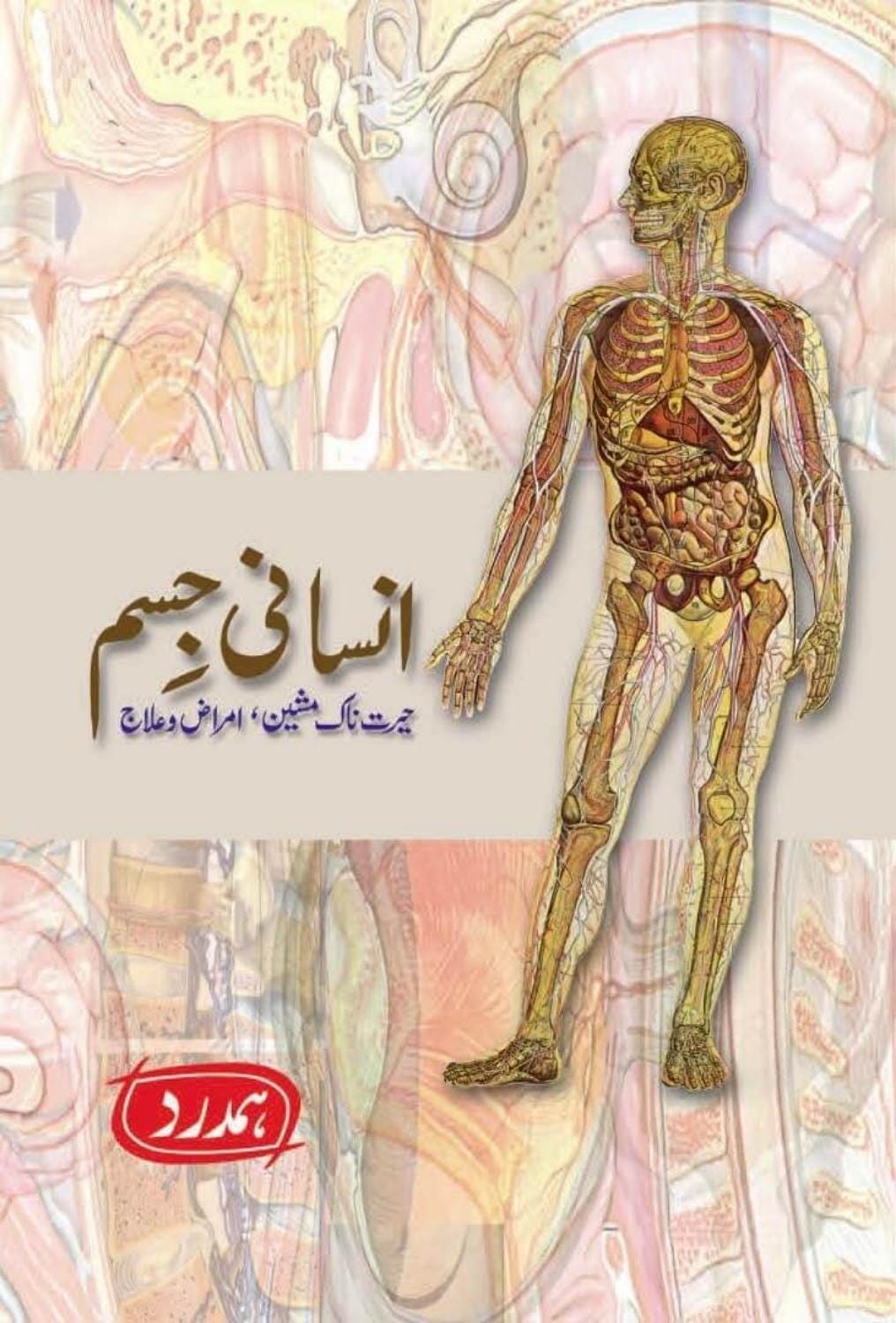 Insani Jism | by hamad ali | May, 2024 | Medium