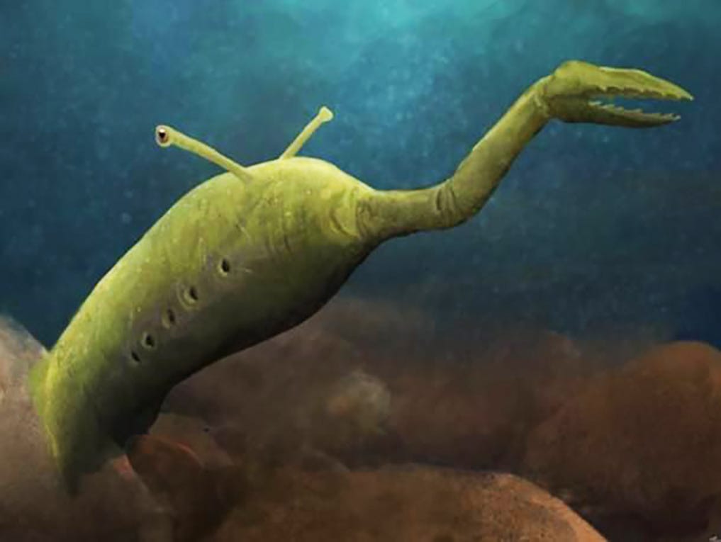 Tully Monsters. Unclassifiable freaks of nature | by Susan Louise ...