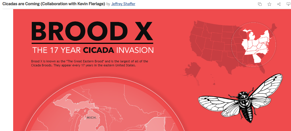 Should we use images in dashboards and how many is too many? | by Alia ...