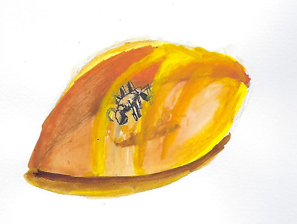 Inktober 4 — frozen in time. Tiny pieces of history | by Kylin ...