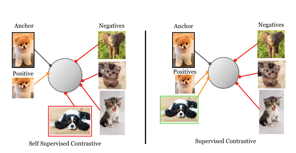 Paper Insights: Supervised Contrastive Learning | by Shanmuka Sadhu ...