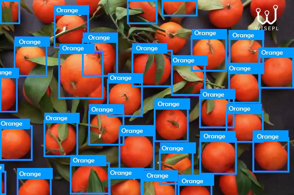Smart Harvest Begins with Smarter Data: How Fruit Detection Annotation ...