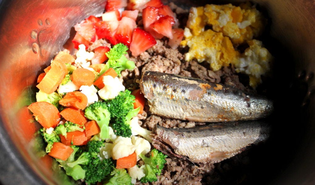 Raw Verses Cooked Dog/Cat Diets. Properly balanced homemade diets are ...