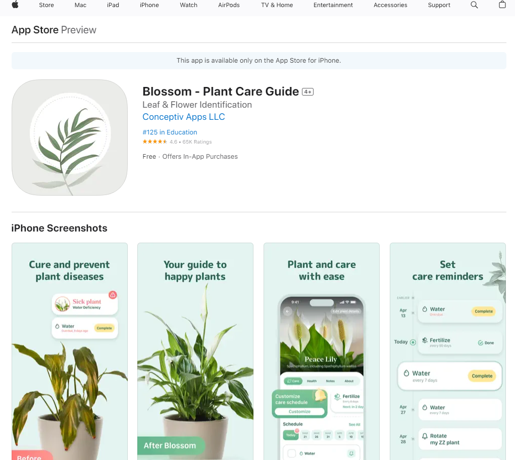 The Blossom App - Anthony Simmons - Medium