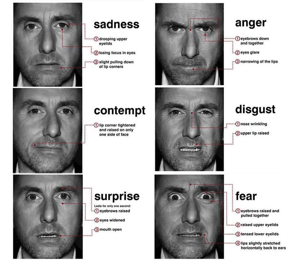 Darwin & Lie Detection. In the series ‘lie to me’, Dr. Lightman… | by ...