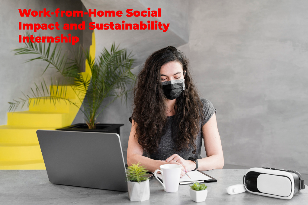 Work-from-Home Social Impact and Sustainability Internship | by Suhaib ...