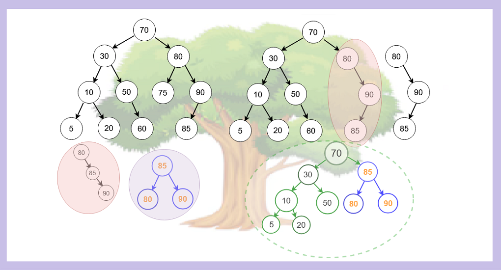 🌲 AVL Trees: Self-Balancing Binary Search Trees | by Abdul Mateen | Medium