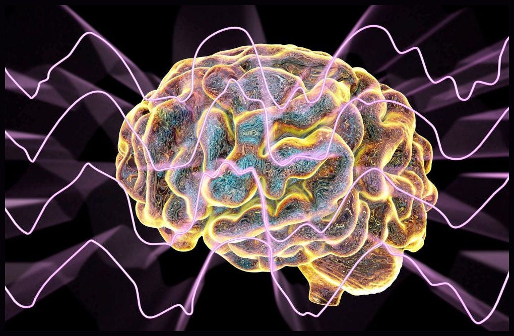 It’s All About the Brains, Stupid! | by Lela Cargill | Bouncin’ and ...