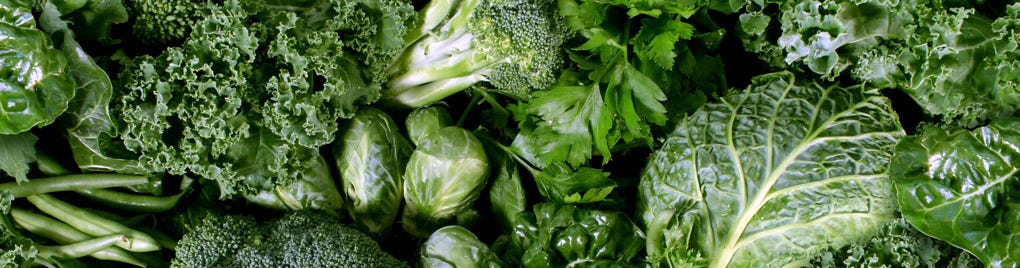 Vege, vegempi, kasvisruokahanke. HYY Ravintoloiden koekeittiö on… | by Miikka Leinonen | Medium