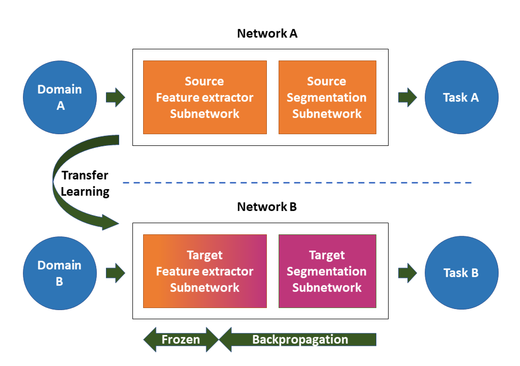 Transfer Learning In Semantic Segmentation On Cityscapes Dataset Pytorch Forums