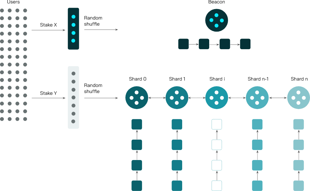 Depth Perception Test Meps