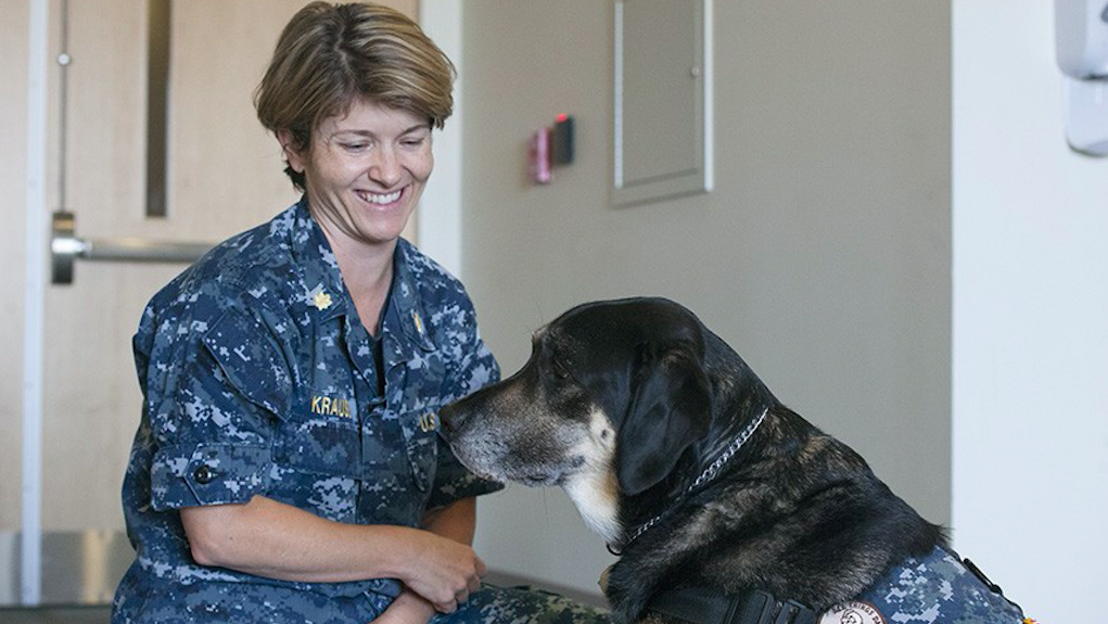 Commander Joe — A True American Hero. | by Security Executives ...
