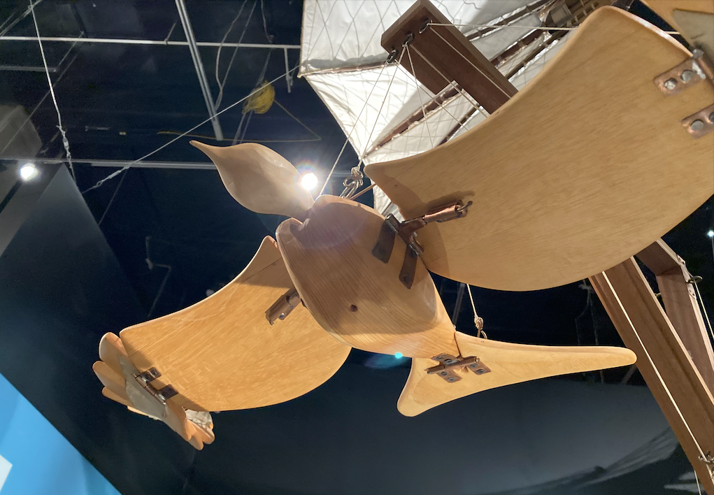 Failed Flying Machines