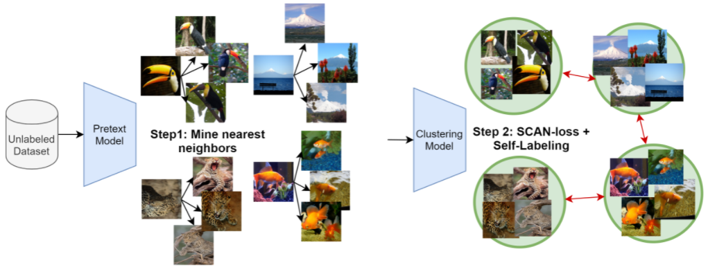 [Paper review] SCAN : Learning to classify images without labels | by Damin Lee | Medium