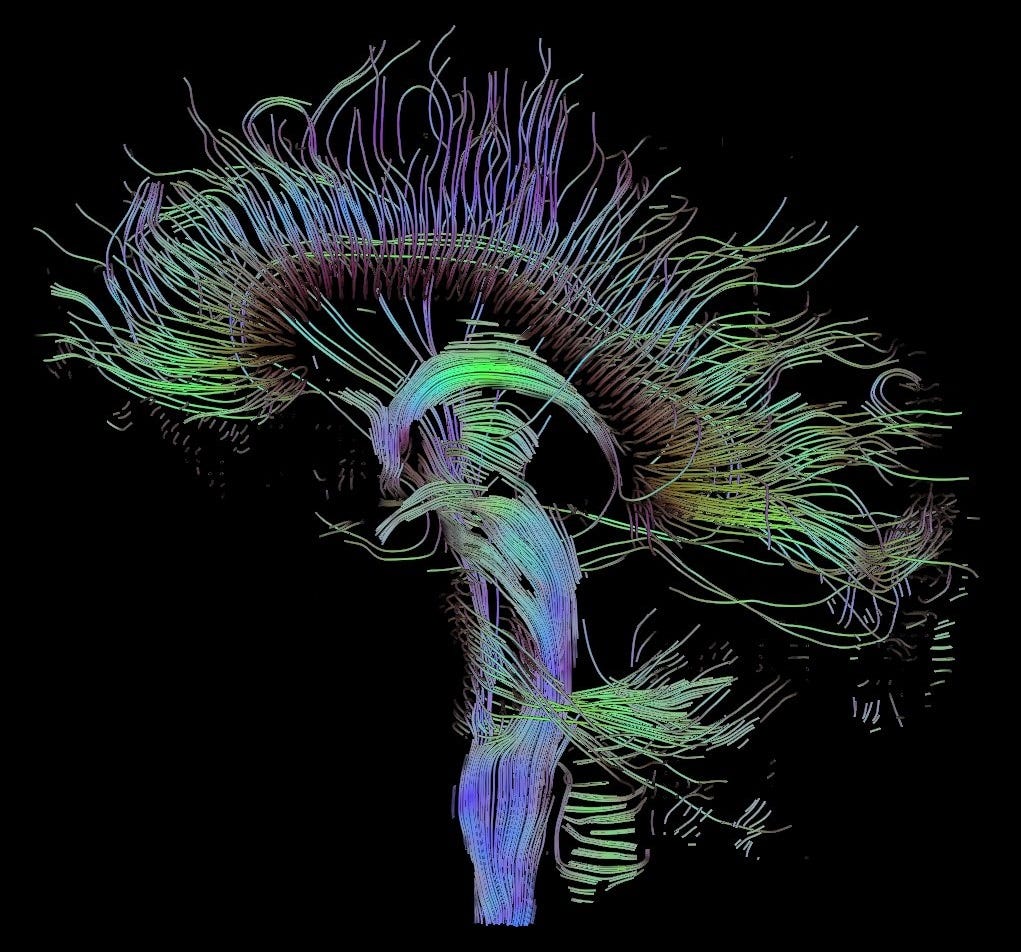 Feeling Mentally Exhausted? Here’s What’s Really Happening in Your ...