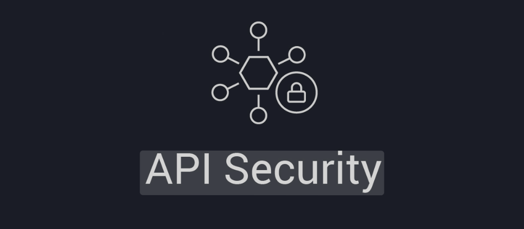 Exploring API Security: Identifying API Vulnerabilities in the VAmPI ...