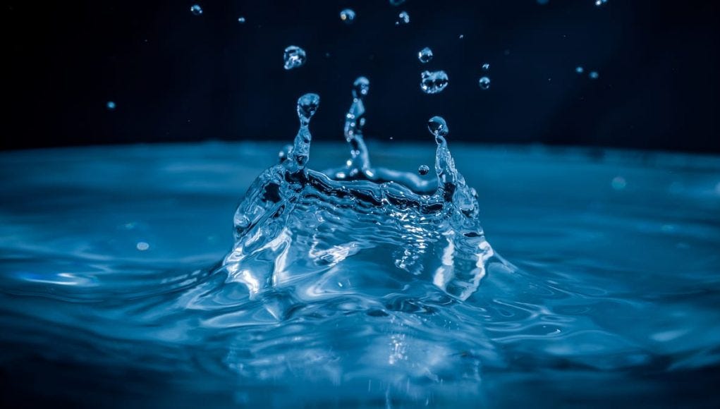 What’s the Big Deal About Water, Anyway? | by Karena Yan | Show Some ...