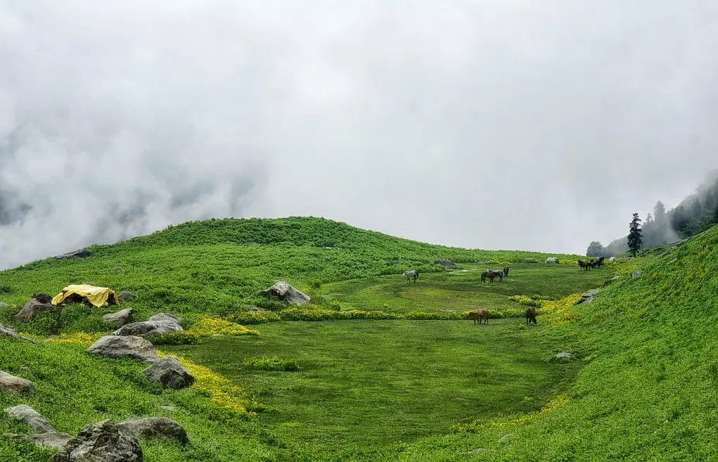 Triund Trek: A Himalayan Odyssey. Nestled amidst the majestic ...