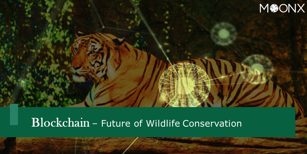 Blockchain — Future of Wildlife Conservation | by MoonX | Medium