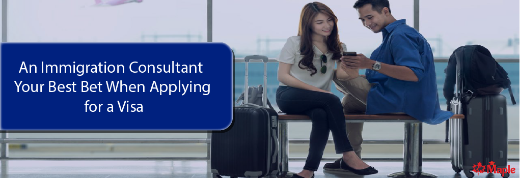 An Immigration Consultant — Your Best Bet When Applying for a Visa | by ...