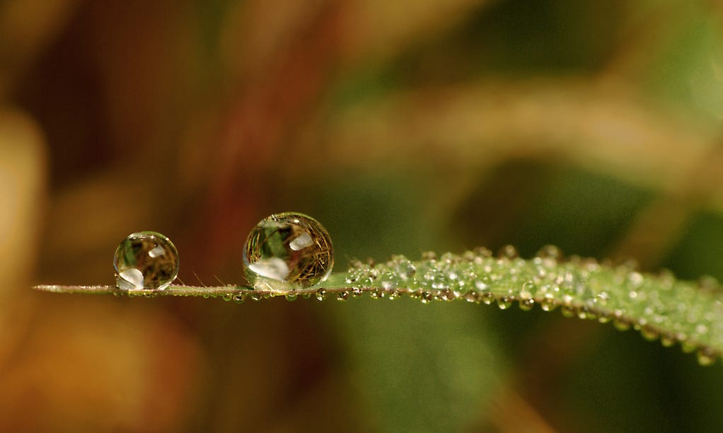 The Tao of Teaching: Part 4. This article is part of a series of… | by ...