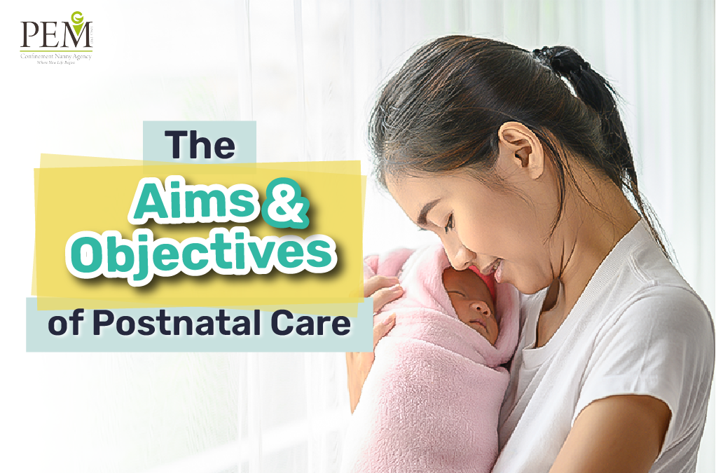 The Aims and Objectives of Postnatal Care | PEM Confinement Nanny ...