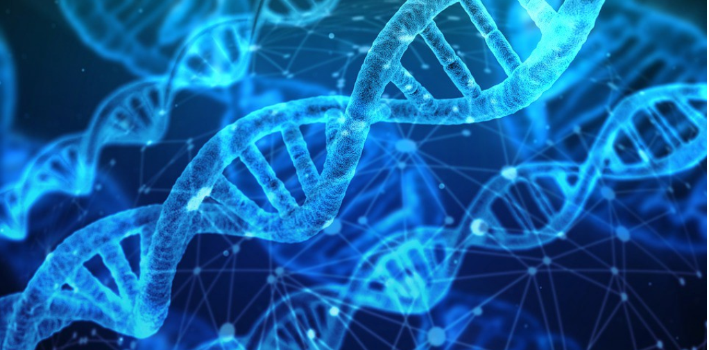 Genetic Algorithm. Introduction: | by AKASH RANJAN | Backyard Programmers | Medium