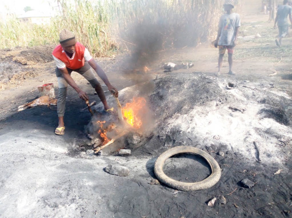 Ileya Nuggets: Consuming Animals Roasted with Tyres Can Cause Kidney ...