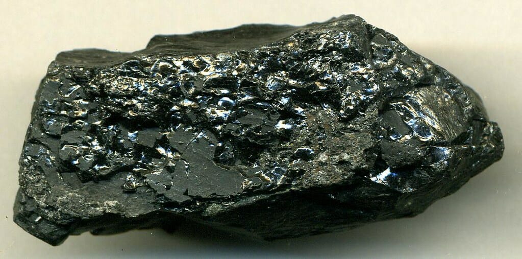 Cost of Coal: Prices and Comparison | by WomenBags.co.uk | Medium