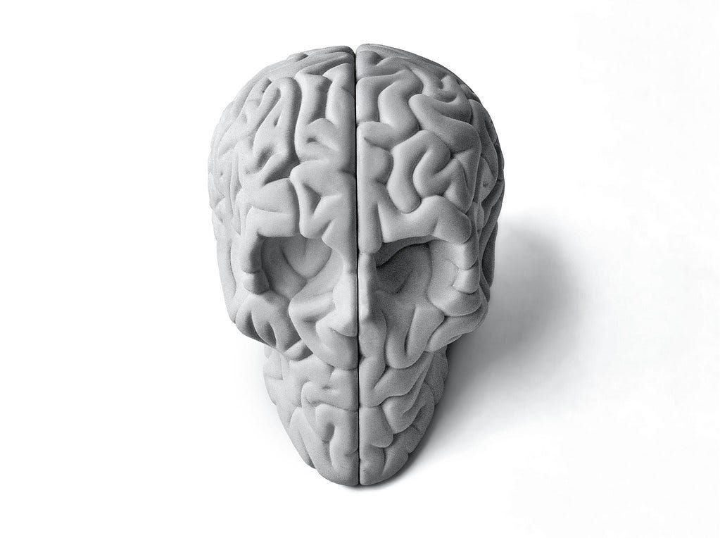 Are The “Brain Dead” Really Dead? | by ️Michael Puleo | ILLUMINATION ...