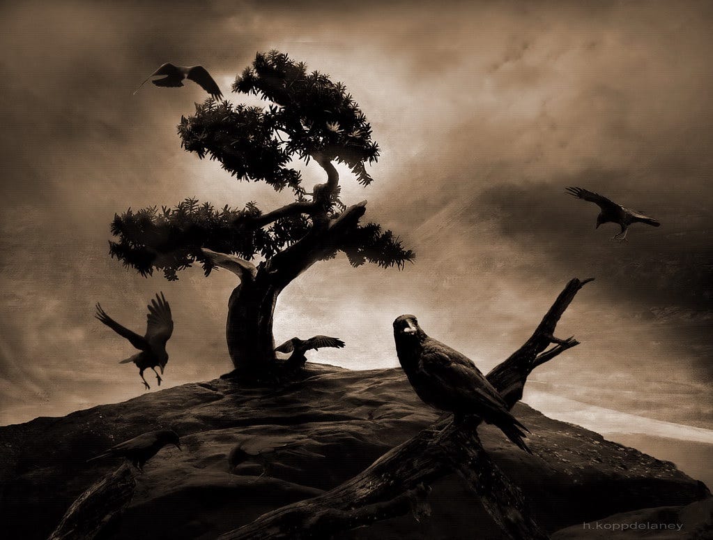 Vitalism. Why biology tells us a lot about life… | by David A. Palmer ...