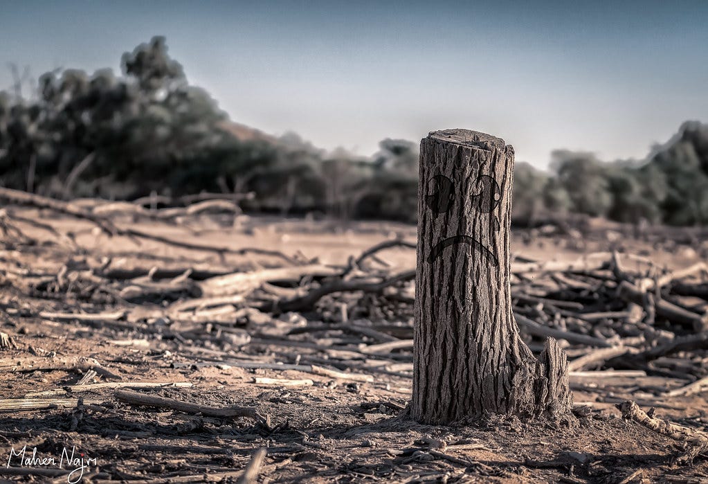 5 Problems Facing the Modern World(and How to Solve Them) | by Cameron ...