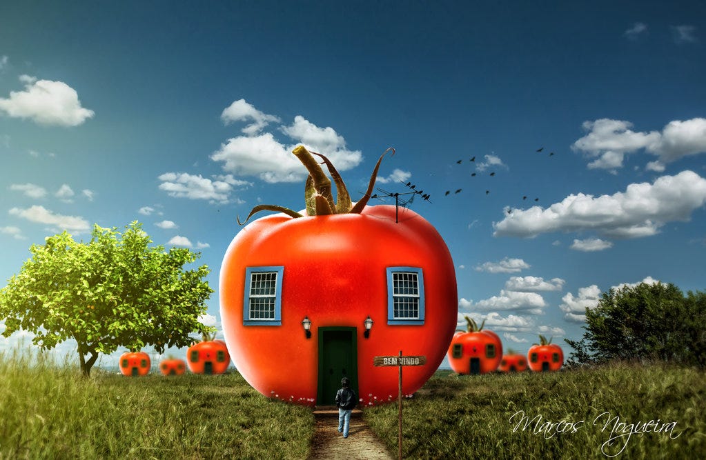Tomato Thrown House 9 Companion Plants You Should Never Grow With
