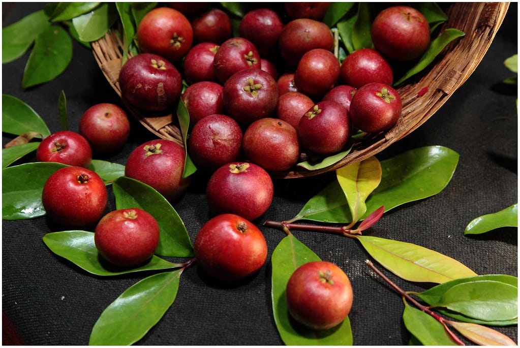 “Kokam: Nature’s Secret Weapon for Health and Flavor” | by ...