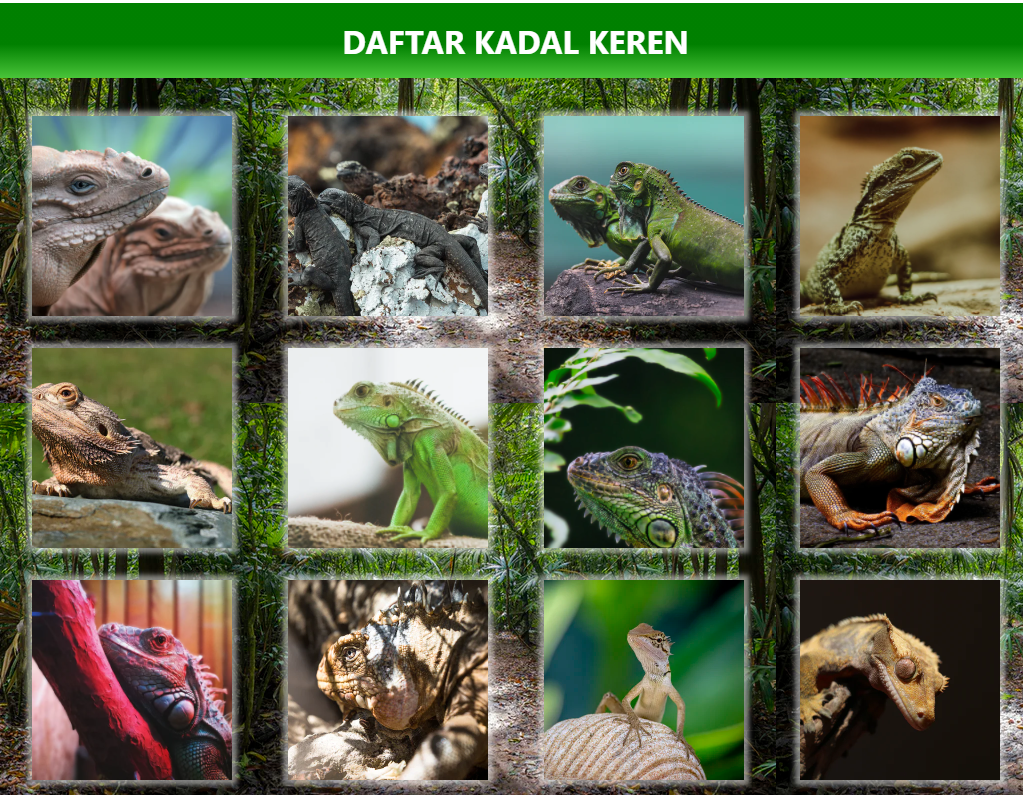 Cara Mengubah Ukuran Gambar Tanpa Mengubah Aspect Ratio-nya dengan CSS ...