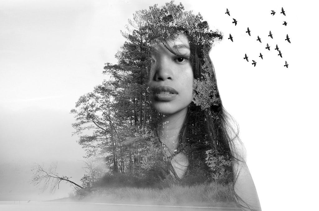 Finding Yourself.. They say that when you find yourself… | by Maheeshi ...